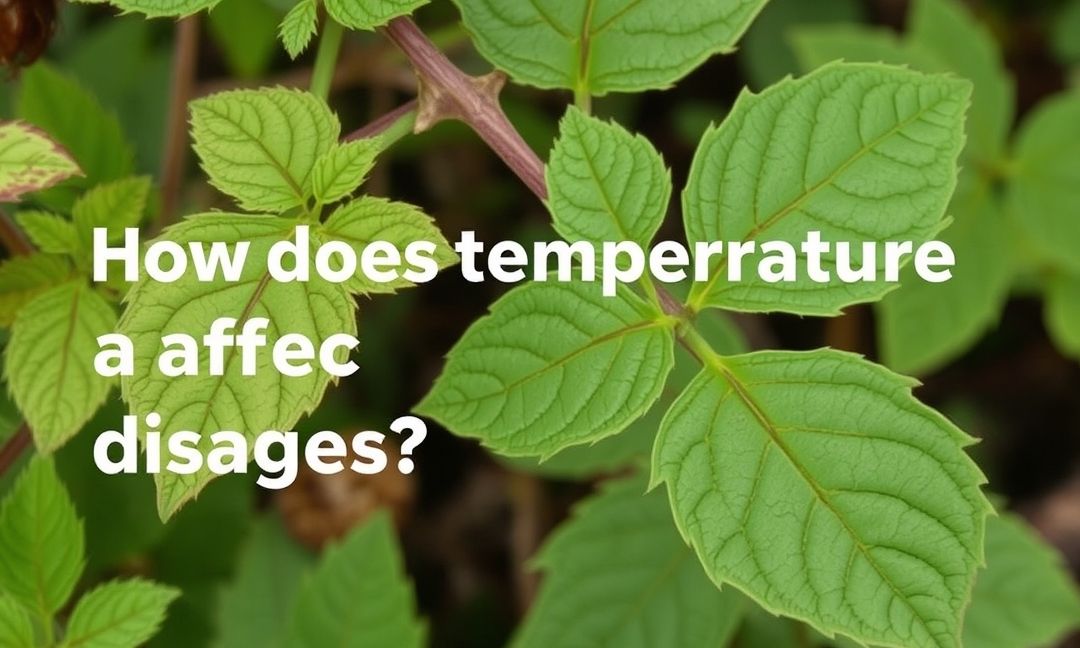 The Impact Of Temperature On Plant Diseases Unveiling The Connection